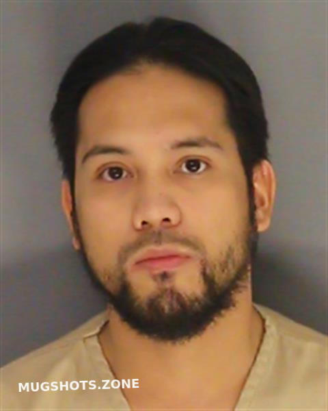 AGAMA IBRAHIM 02/13/2025 - Essex County Mugshots Zone