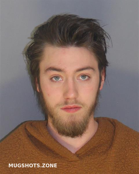 YORK AYDEN M 02/15/2025 - Essex County Mugshots Zone