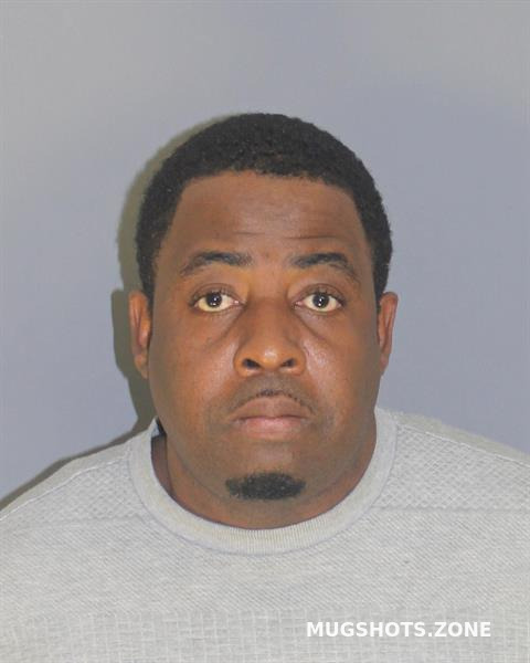 FIFI RICOT 03/27/2025 - Essex County Mugshots Zone