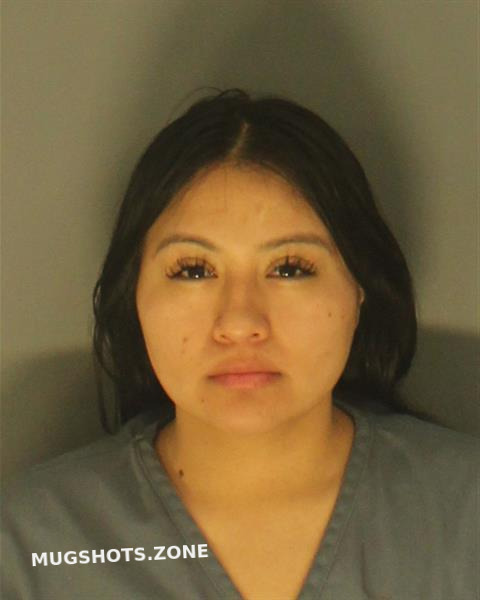 HERNANDEZ MICHELLE 04/19/2025 - Essex County Mugshots Zone