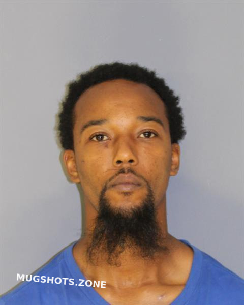 ELLISON RICHARD K 06/09/2025 - Essex County Mugshots Zone