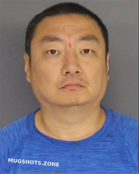 DAI LU 07/08/2025 - Essex County Mugshots Zone