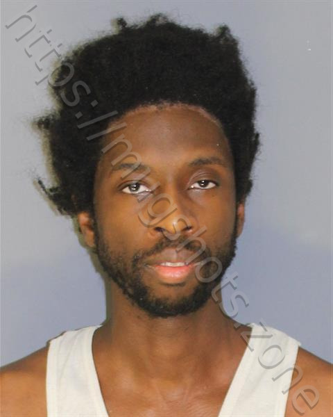 MINTZ-CHERRY TYLER R 03/20/2026 - Essex County Mugshots Zone