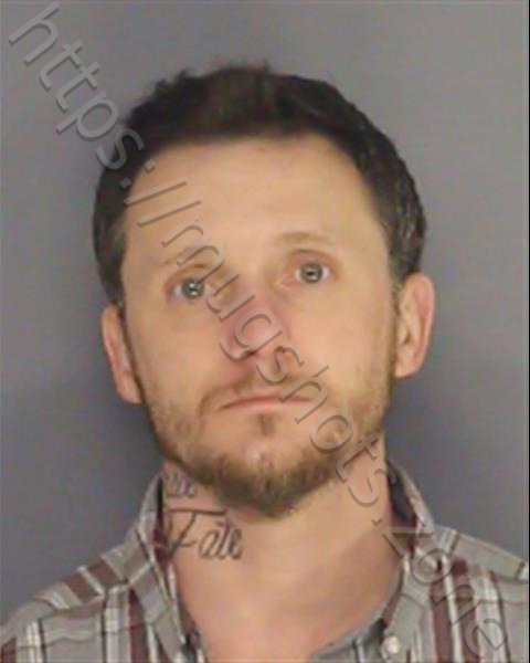 MORGAN SCOTT 05/28/2026 - Essex County Mugshots Zone