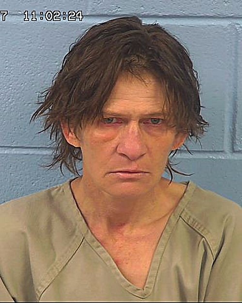 TALTON ANNA DANIELLE 01/03/2021 - Etowah County Mugshots Zone
