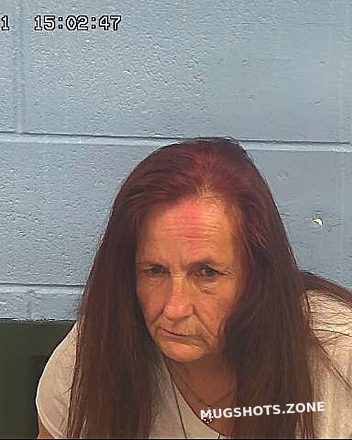 PARMER PHYLLIS JANE 06/15/2021 - Etowah County Mugshots Zone
