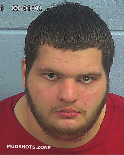 WILLINGHAM NATHANIEL LEE 01/31/2023 - Etowah County Mugshots Zone