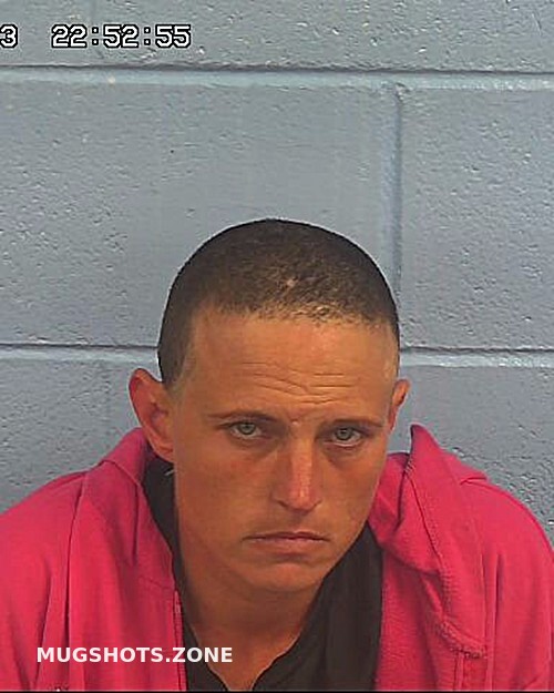 Anderson Sherrie Michelle 10 18 2023 Etowah County Mugshots Zone
