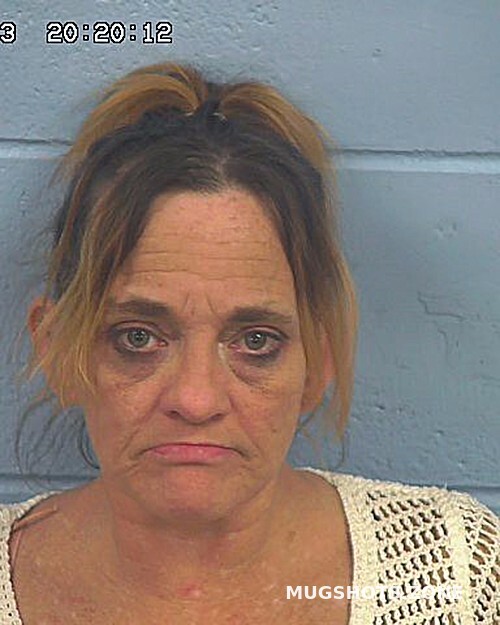 VASSER TRACY LEE 12/13/2023 - Etowah County Mugshots Zone