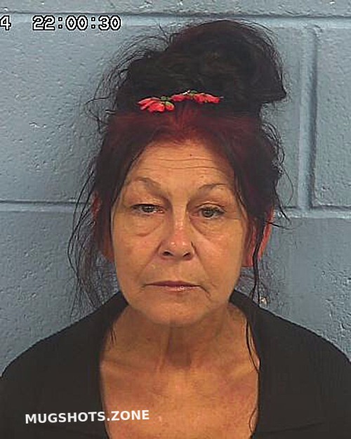 WILLIAMS/PARKER FELECIA BAUGH 06/11/2024 - Etowah County Mugshots Zone