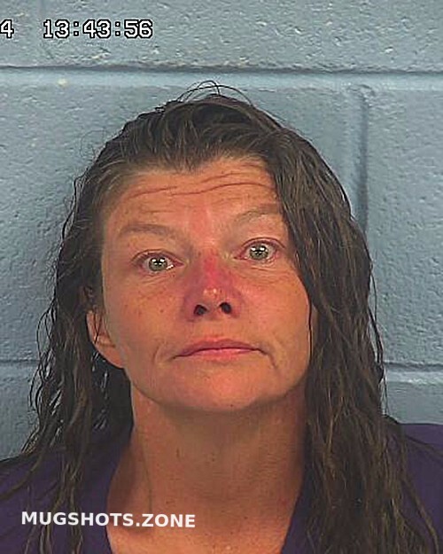 PATTERSON PRISCILLA DAWN 09/10/2024 - Etowah County Mugshots Zone