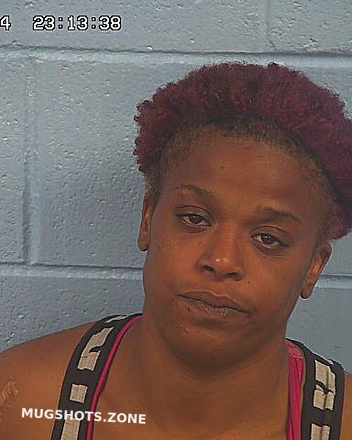 MCHENRY AMBER MICHELLE 09/17/2024 - Etowah County Mugshots Zone