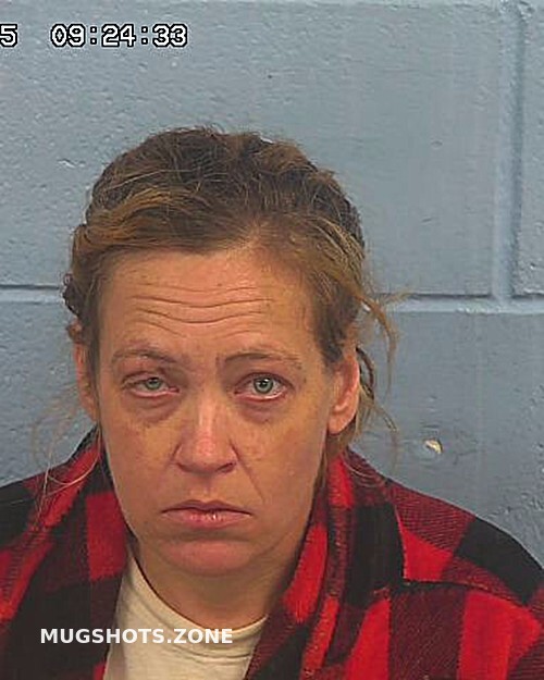 HUDGINS JENNIFER MICHELLE 01/13/2025 - Etowah County Mugshots Zone