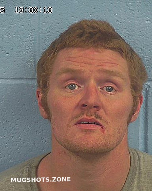 WILLIAMSON EDWARD CHARLES 01/17/2025 - Etowah County Mugshots Zone