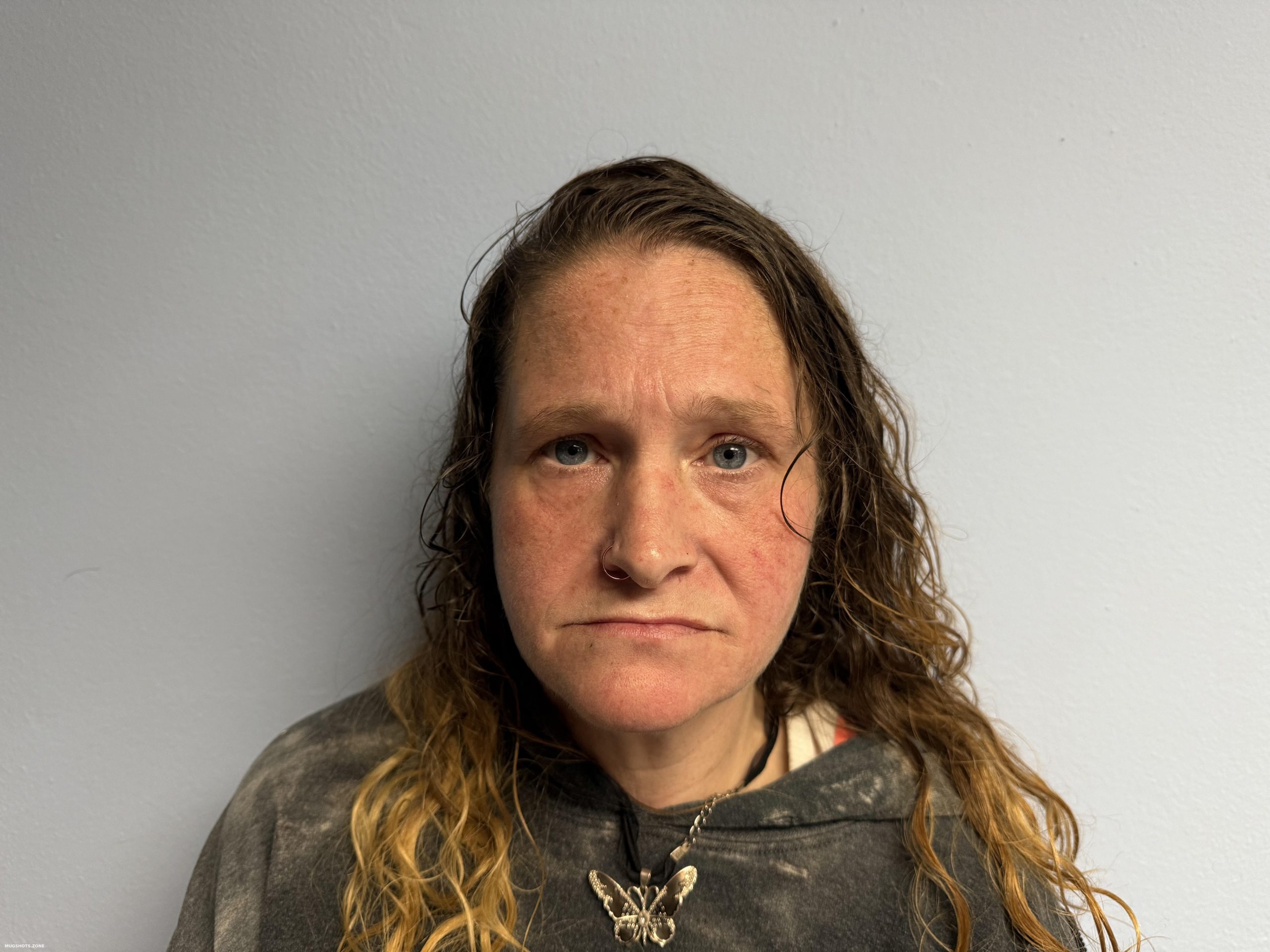 OGLES AMANDA LEANNE 02/15/2025 - Etowah County Mugshots Zone