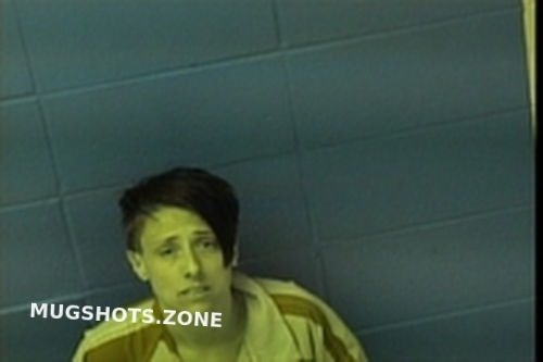 JENNIFER LYNN ENGELBRECHT 02/03/2021 - Faulkner County Mugshots Zone