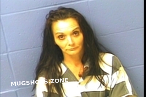 CHRISTIE NICOLE SOLIS 04/03/2021 - Faulkner County Mugshots Zone