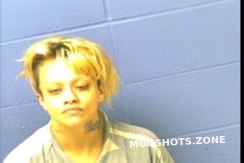 HEATHER NICOLE RICE 04/30/2021 - Faulkner County Mugshots Zone
