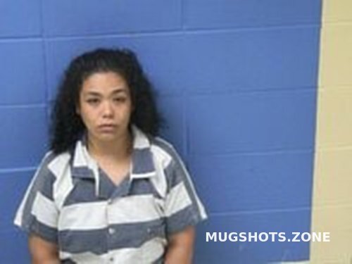 CARISSA K NESBY 05/30/2022 - Faulkner County Mugshots Zone