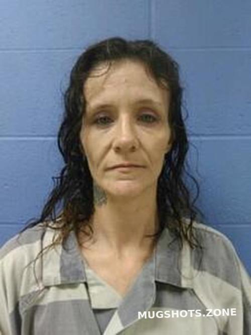 BRIDGETTE LEANN CRAFT 10/26/2022 - Faulkner County Mugshots Zone