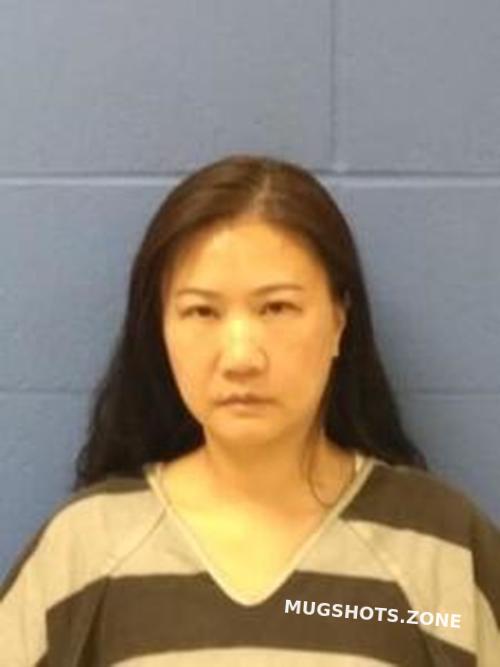 FEN XIE 11/15/2022 - Faulkner County Mugshots Zone