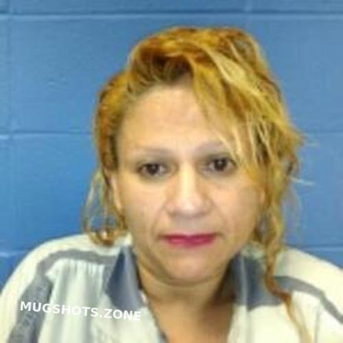 CLAUDIA ELISABETH HERNANDEZ- ARDON 02/01/2024 - Faulkner County ...