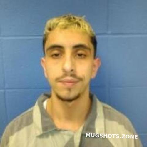 LUIS DANIEL CASTILLO 02/13/2024 - Faulkner County Mugshots Zone