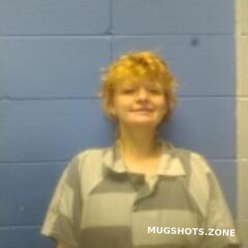 KAYLI DANIELLE PARTON 04/30/2024 - Faulkner County Mugshots Zone