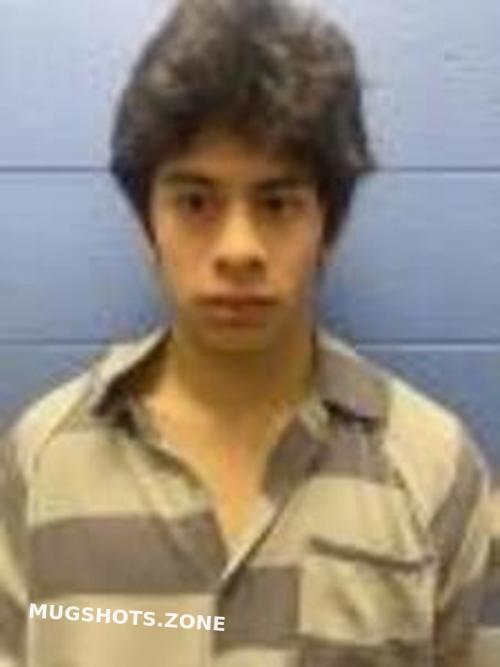 TROY LAWRENCE CHING-SAM 07/13/2024 - Faulkner County Mugshots Zone