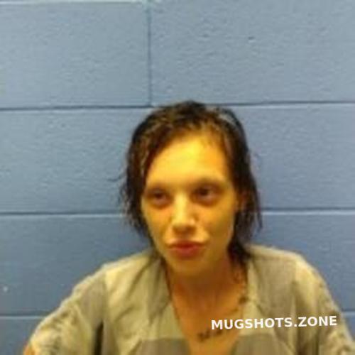 SARAH NACOL HEARON 08/01/2024 - Faulkner County Mugshots Zone