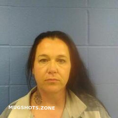 AMANDA LYNETTE ROMINE 04/29/2025 - Faulkner County Mugshots Zone