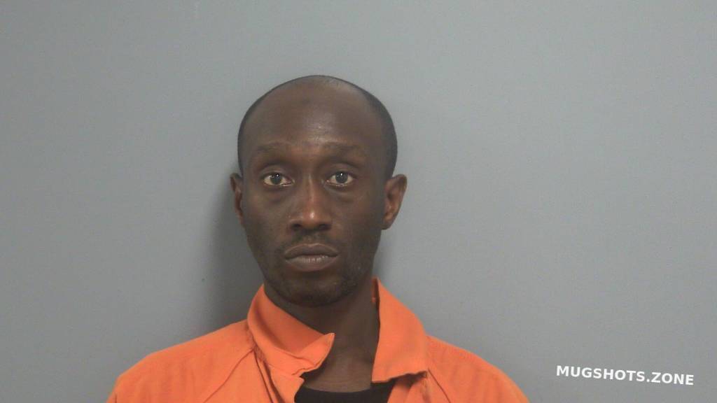 LEA WALTER LOUIS 08/29/2023 - Fayette County Mugshots Zone