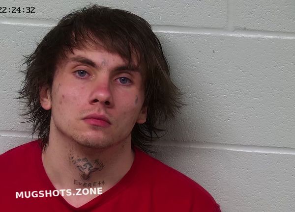 RILEY JAMES EVERETT 07/07/2023 - Fayette County Mugshots Zone