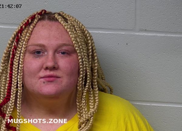 SWAIN HEATHER RENEE 11/27/2023 - Fayette County Mugshots Zone