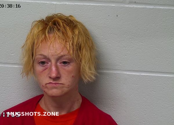 SEYMOUR AMANDA RENEE 05/25/2024 - Fayette County Mugshots Zone