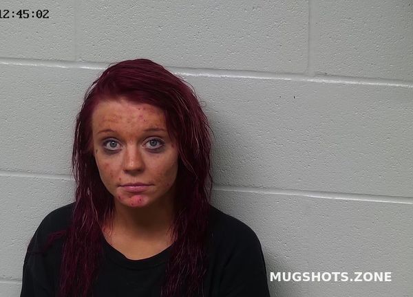 DAVIS DIXIE LEE 11/18/2024 - Fayette County Mugshots Zone