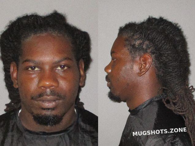 ROLLINS EARNEST WESLEY 04/12/2021 - Flagler County Mugshots Zone