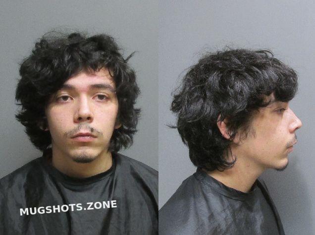 SAVONE ANTHONY JAMES 08/23/2021 - Flagler County Mugshots Zone
