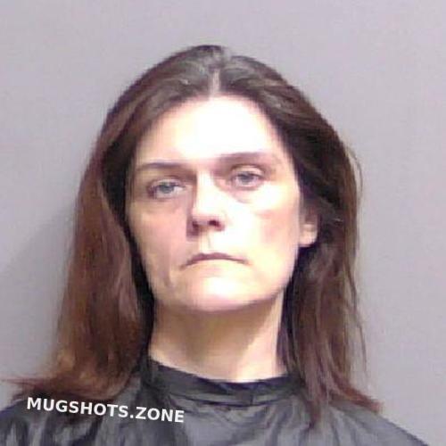 MEDEL JODY MAE 11/15/2022 - Flagler County Mugshots Zone