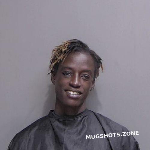 PENDLETON SOPHIA JERMERE 08/28/2023 - Flagler County Mugshots Zone