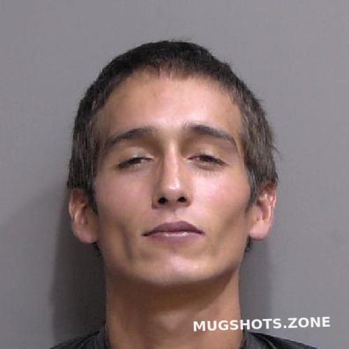 SCHMIDT SIEGMUND ERWIN 10/11/2023 - Flagler County Mugshots Zone