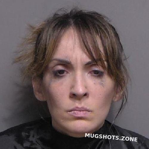 SCHMIDT ASHLEY SUMMER 01/30/2024 - Flagler County Mugshots Zone