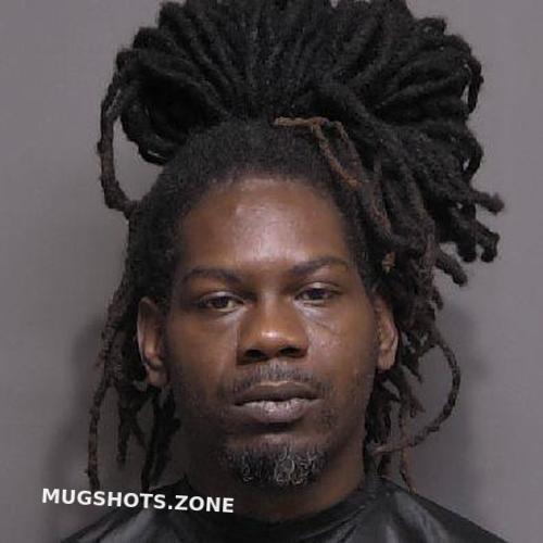 ROLLINS ERNEST WESLEY 03/21/2024 - Flagler County Mugshots Zone