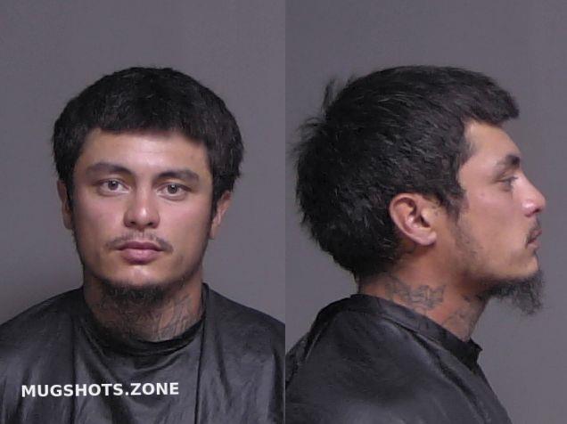FLORES AUSTIN MATTHEW 06/12/2024 - Flagler County Mugshots Zone