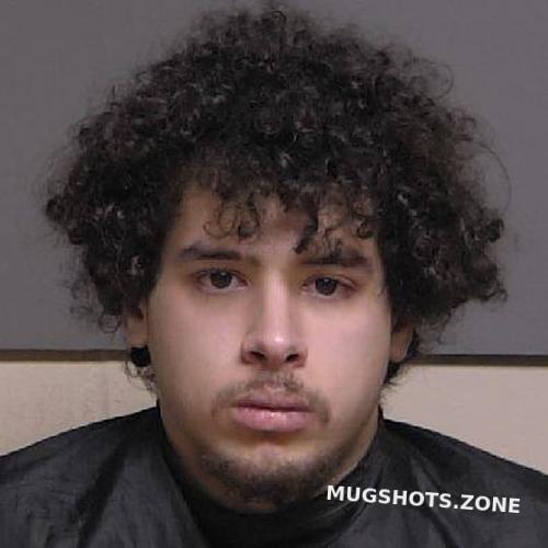 COUSO GABRIEL EDUARDO 11/24/2024 - Flagler County Mugshots Zone