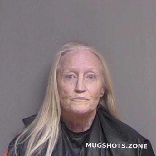 COOK CARRIE IRENE 01/01/2025 - Flagler County Mugshots Zone