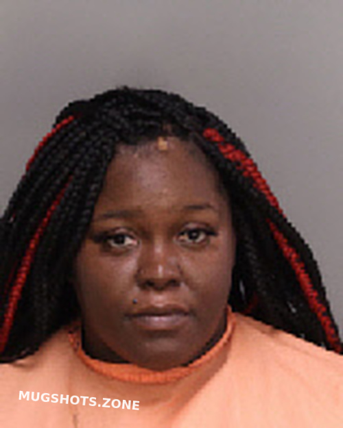 SABB RHONDA SHERNISE 01/13/2021 - Florence County Mugshots Zone