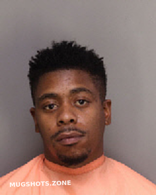 SINGLETARY ROMEL DEANDRE 11/18/2021 - Florence County Mugshots Zone