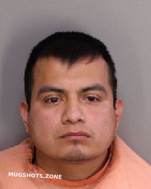 MARIN ANGULO ELEODORO 02/15/2022 - Florence County Mugshots Zone