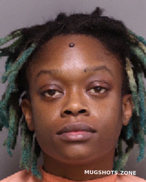 REED TANESHA 08/13/2022 - Florence County Mugshots Zone